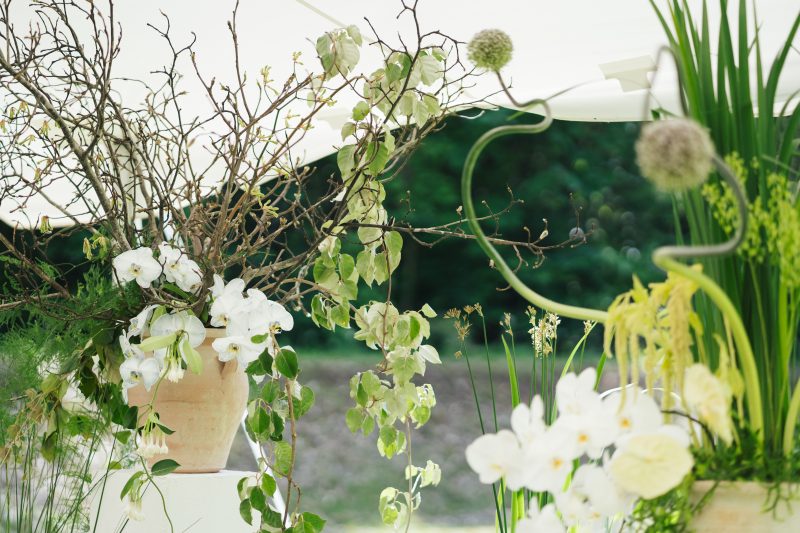 KOSUKE & YUYU | Belvedere （ベルベデーレ）個性豊かなオリジナルウェディングをプロデュースします